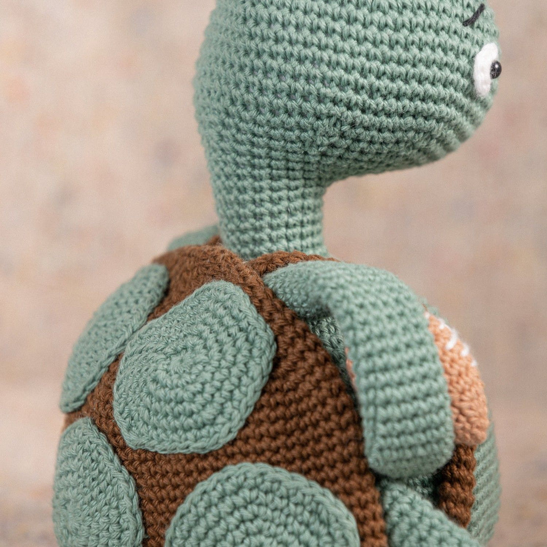 Theo the Turtle – Hobbii